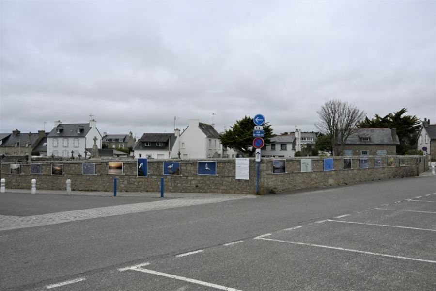 Exposition sur les murs du cimetière et rue de la Mairie - Île-Tudy - Site officiel de la commune